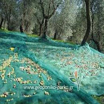 ΚΗΠΟΣ-ΕΛΑΙΟΣΥΛΛΟΓΗ ΚΑΙ ΟΙΝΟΠΟΙΕΙΑ-ΕΛΑΙΟΔΙΧΤΑ-ΜΟΥΣΑΜΑΔΕΣ | ΚΑΡΑΧΑΛΙΑΣ