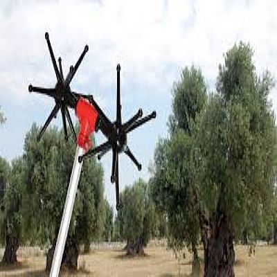 ΚΗΠΟΣ-ΕΛΑΙΟΣΥΛΛΟΓΗ ΚΑΙ ΟΙΝΟΠΟΙΕΙΑ-ΕΛΑΙΟΡΑΒΔΙΣΤΙΚΑ | ΚΑΡΑΧΑΛΙΑΣ